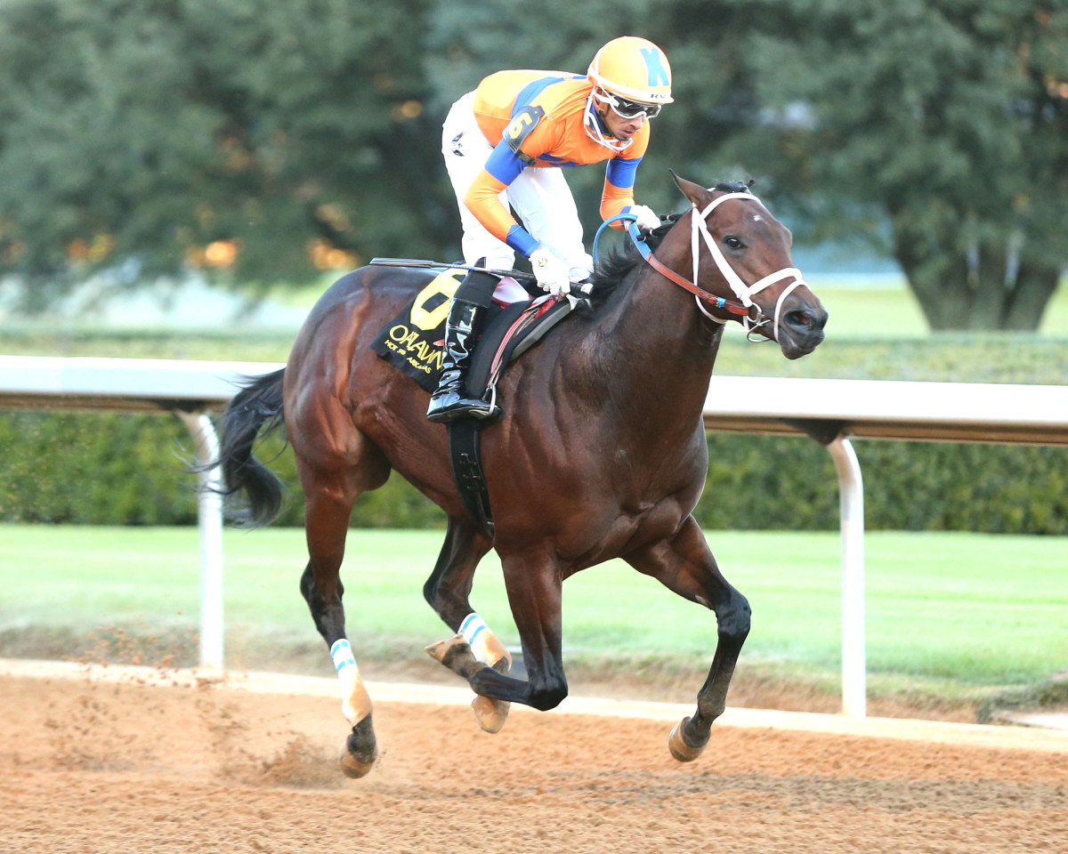 Kale’s Angel Back On Turf In Dade Park Dash At Ellis - Paulick Report ...