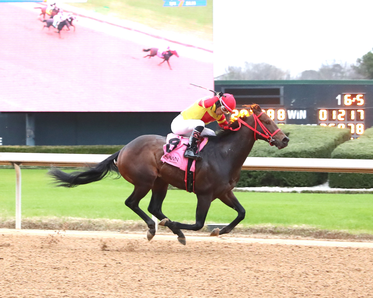 The Derby Bubble Presented By Kentucky-Breds: Back On The Trail For ...
