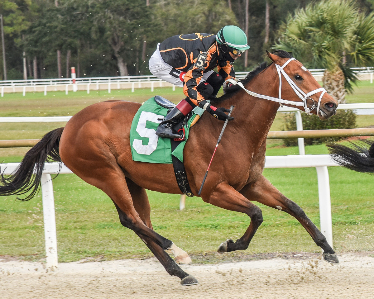 'My Horse Ran His Race': Naughty Rascal Elevated To Pasco Win Via DQ ...