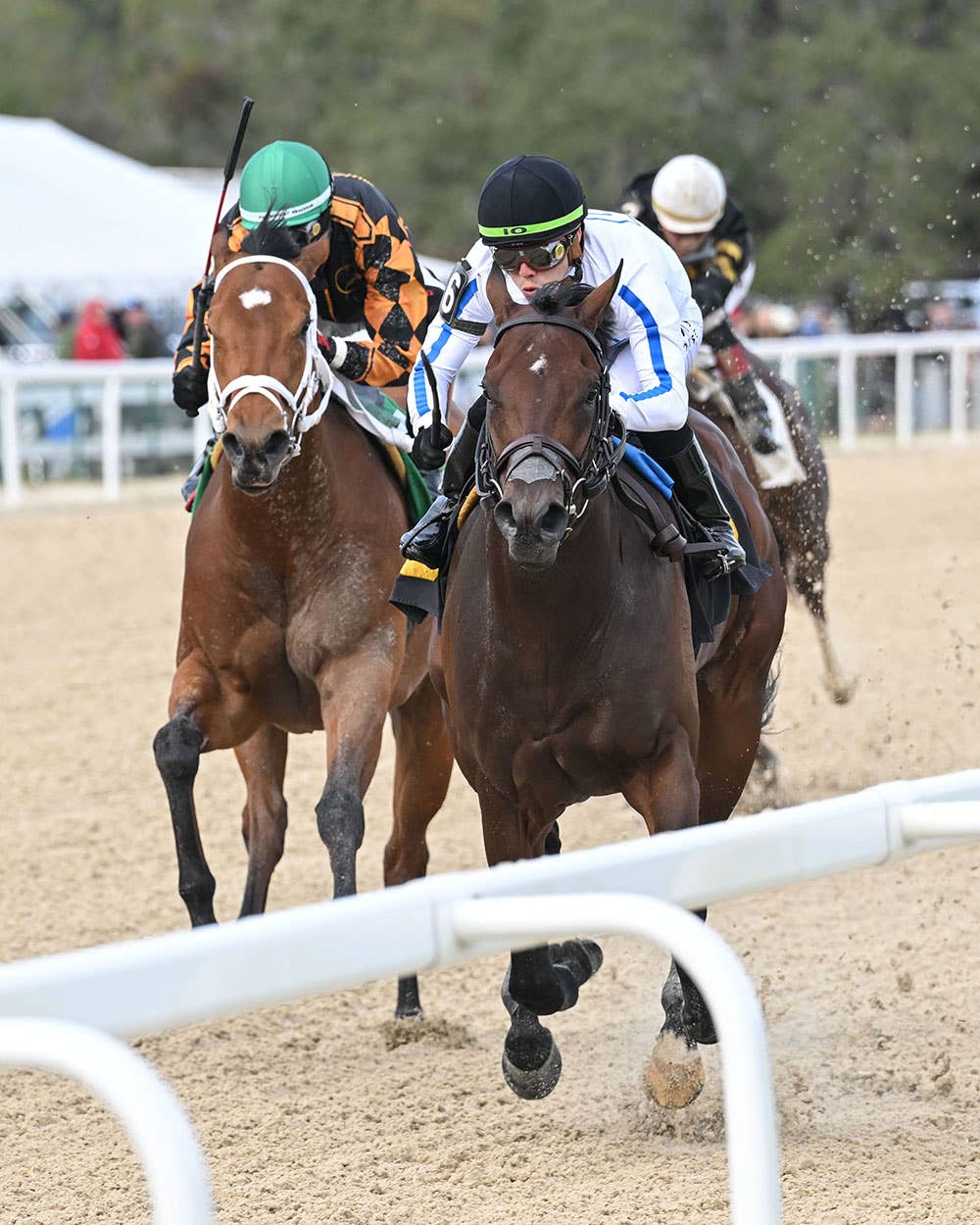 Gerald Bennett Enjoys Saturday Wins At Tampa Bay With Chrome Ghost ...