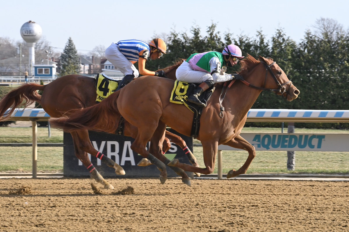 Juddmonte's Ramify Adds Intrigue To Busanda Field - Paulick Report ...