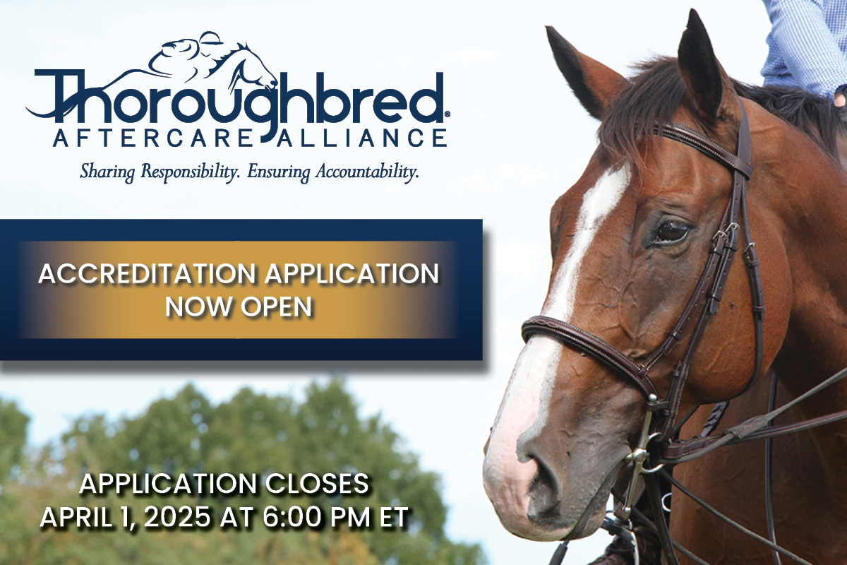 Thoroughbred Aftercare Alliance Accreditation Application Open For 2025 ...