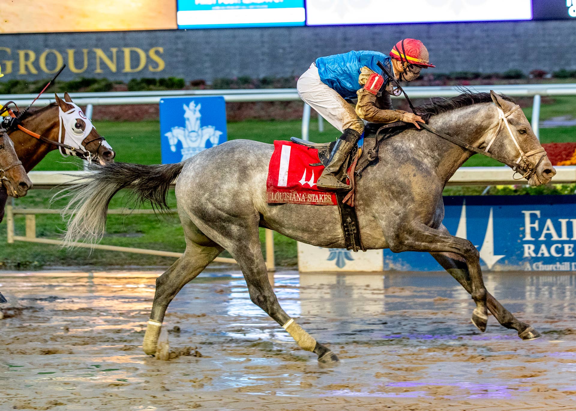 Hit Show Rallies Last To First In Louisiana - Paulick Report | Latest ...