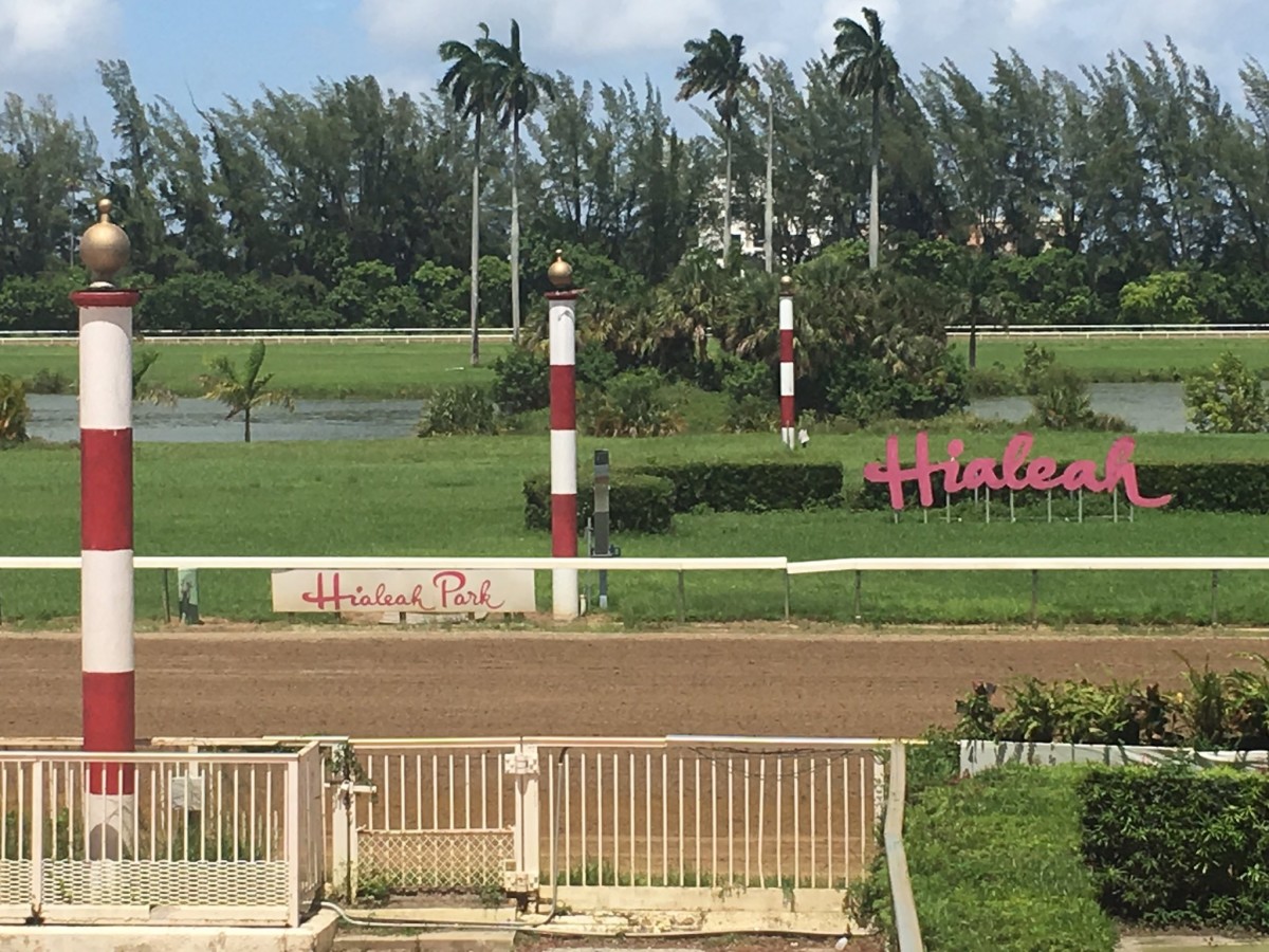 Hialeah Park: A Bold Play To Secure The Future Of Racing In Florida ...