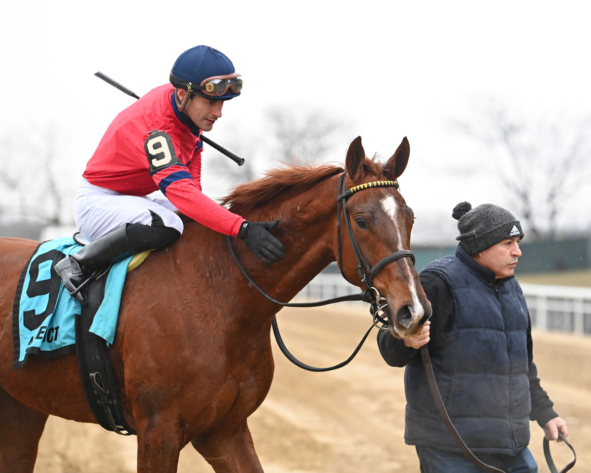 Wesley Ward Pondering Ashland For Front-Running Busanda Winner Running ...