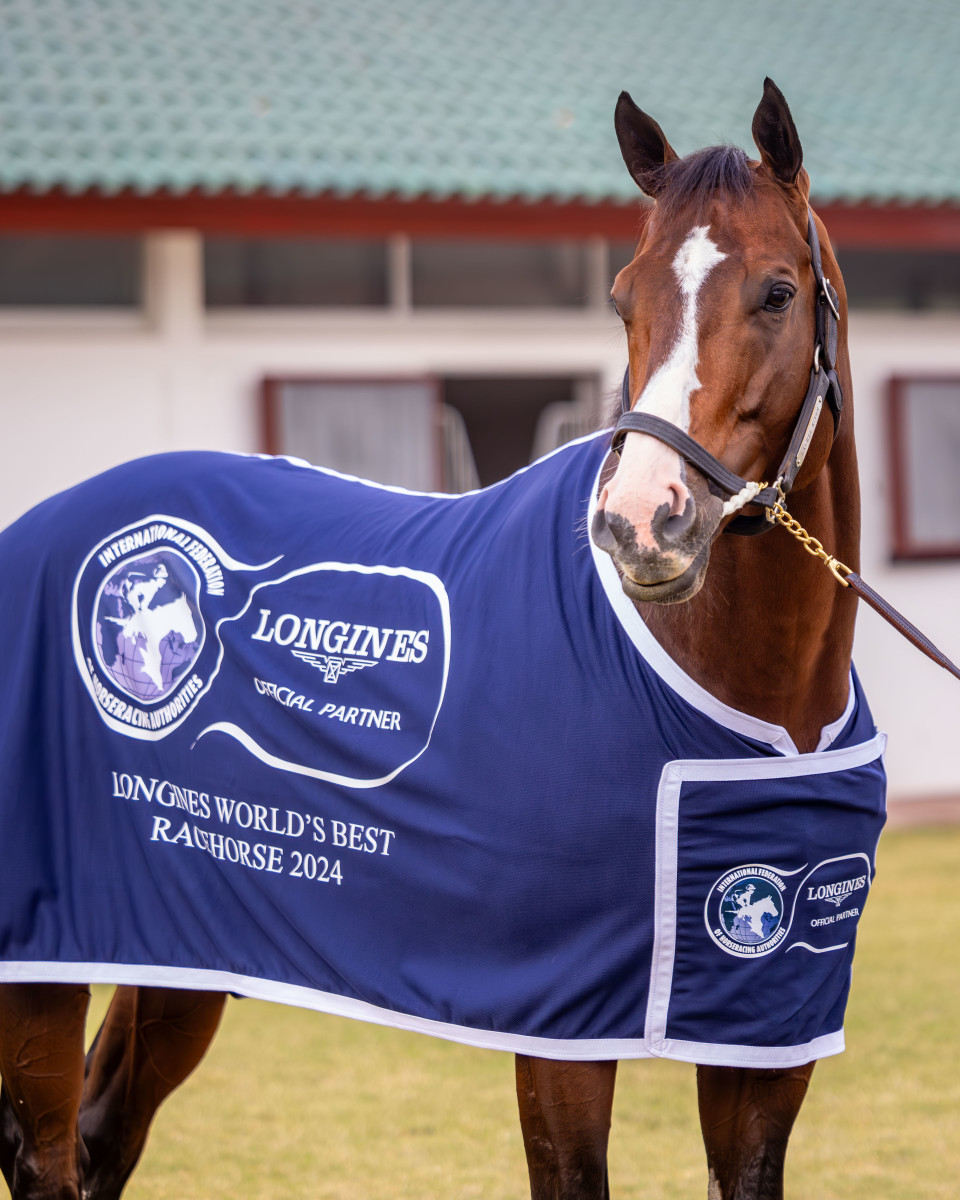 City Of Troy, Laurel River Share 2024 World's Best Racehorse Title ...