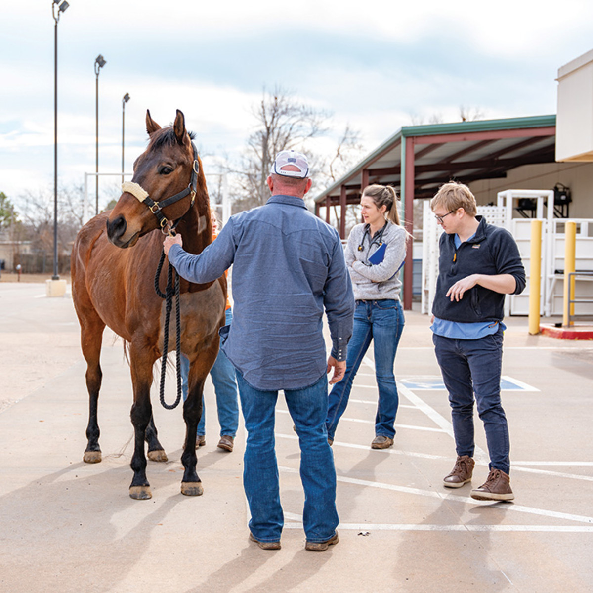 Barrel Racer Recovering From First-Of-Its-Kind Sternum Surgery ...