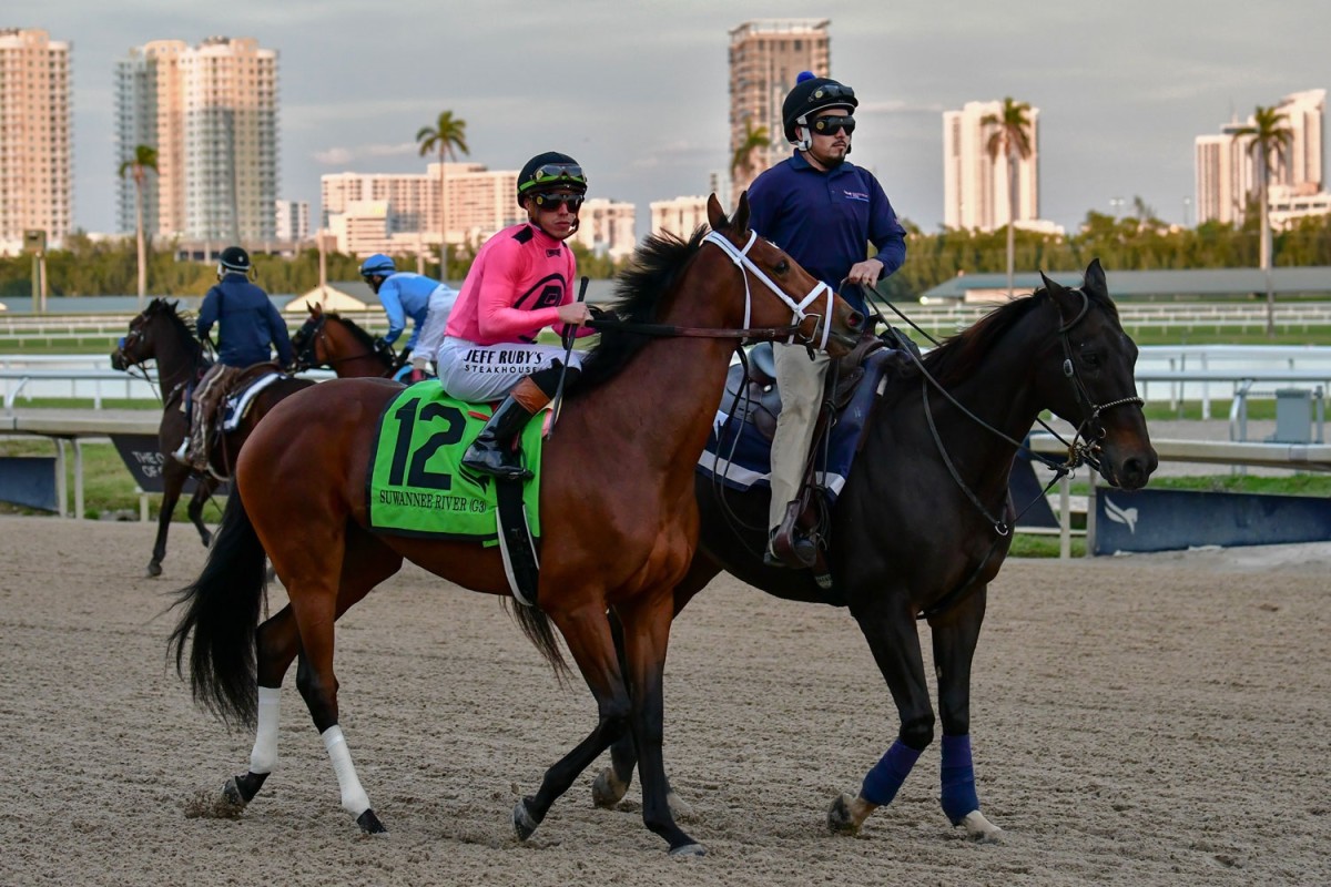 Brendan Walsh Enters Trio For Rood & Riddle Dowager - Paulick Report ...