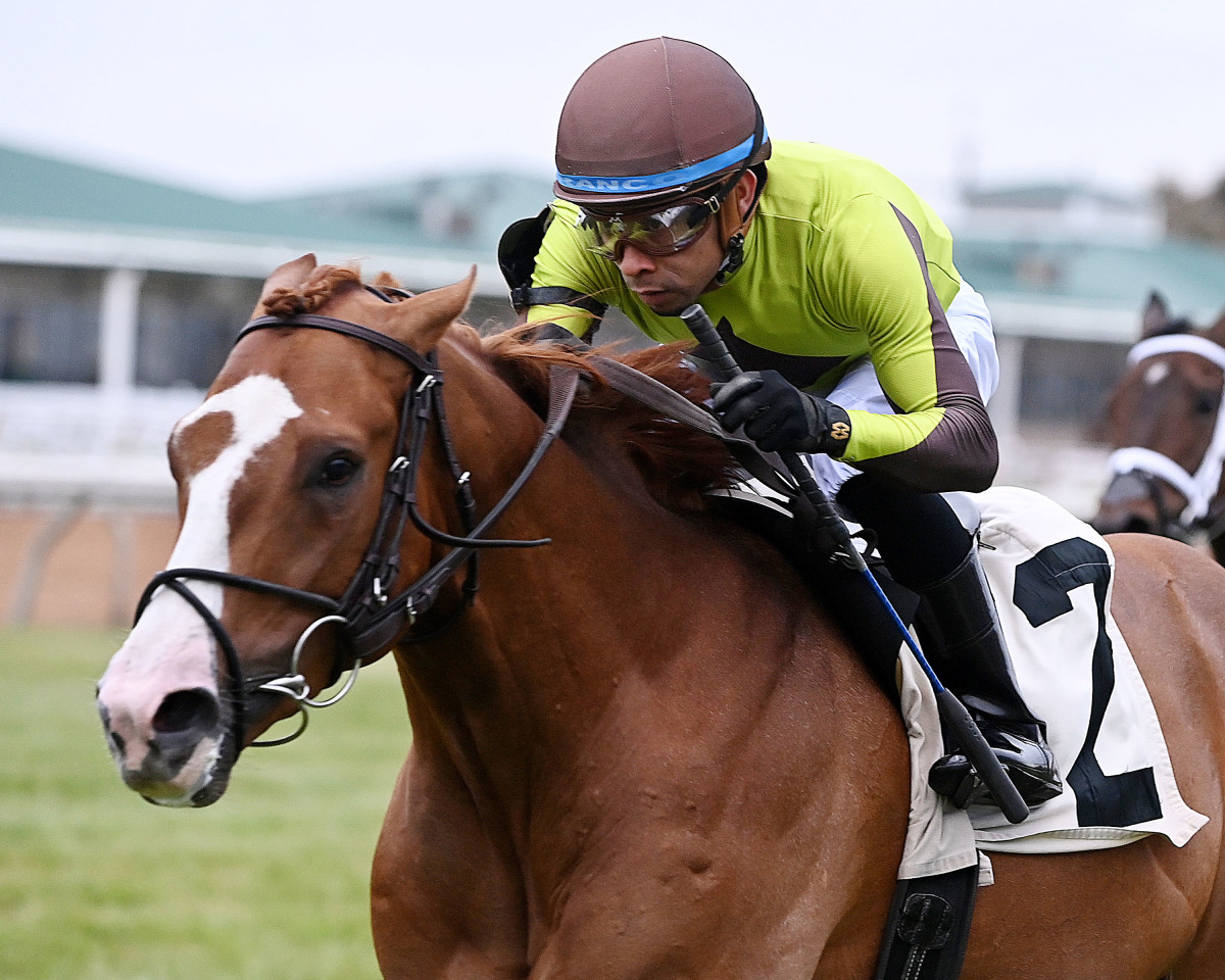 Chasing Liberty Aims For Fourth Stakes Win In Black Gold At Fair ...