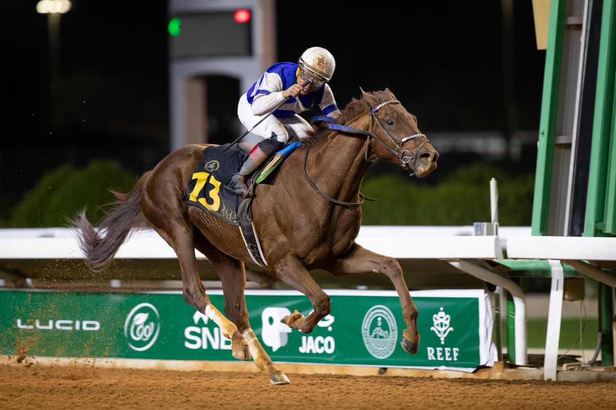 Return To Saudi Arabia, Oaklawn Handicap Among Possibilities For Rattle ...