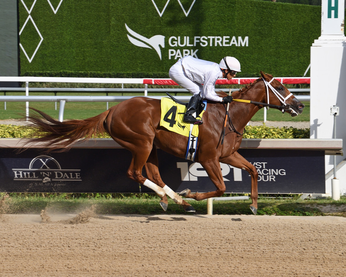 Oaks Prep: 'Impressive' Debut Winner Rojo Rita Makes 3YO Debut In ...