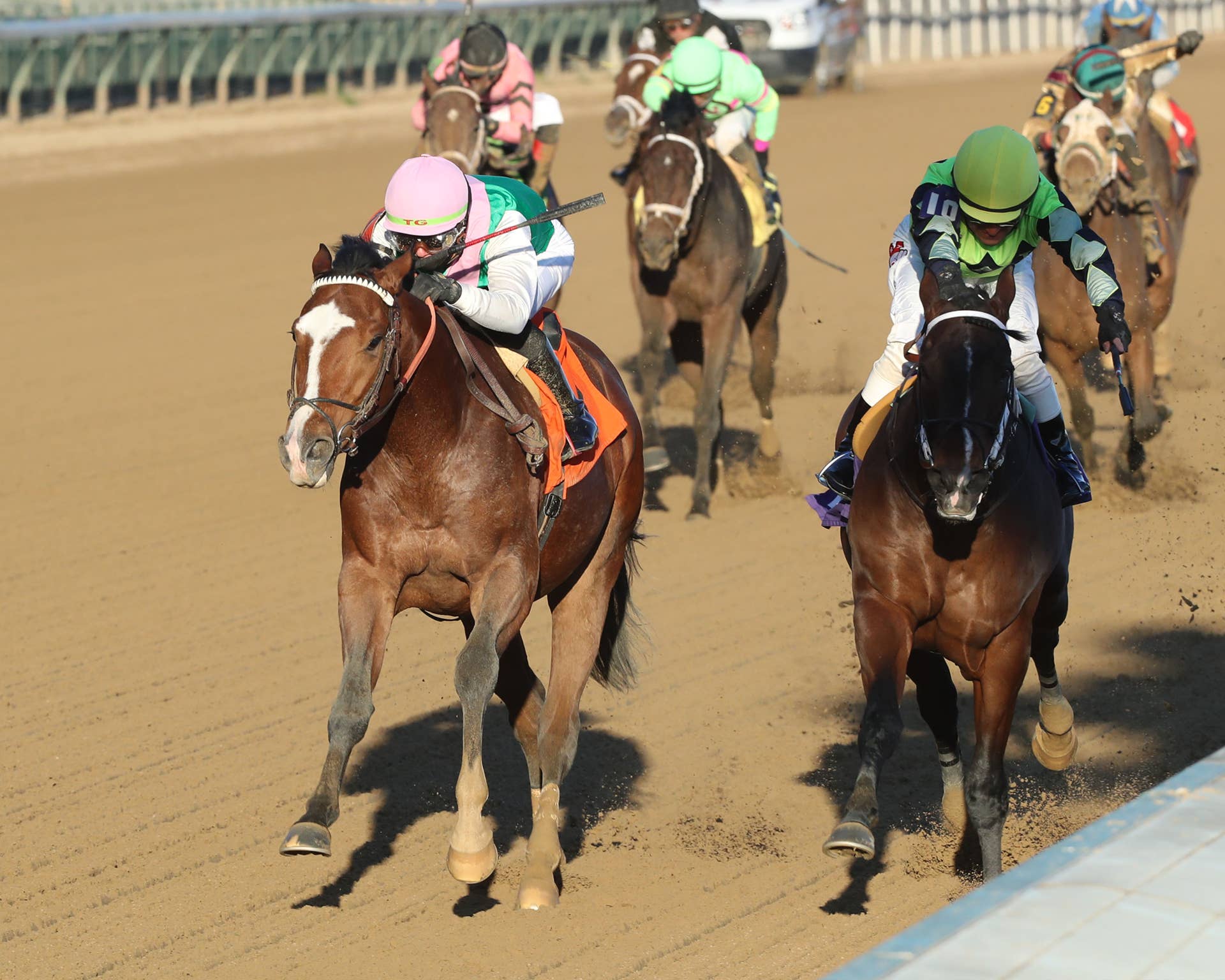Equibase Analysis: Seven Vie for Kentucky Derby Points in Holy Bull ...