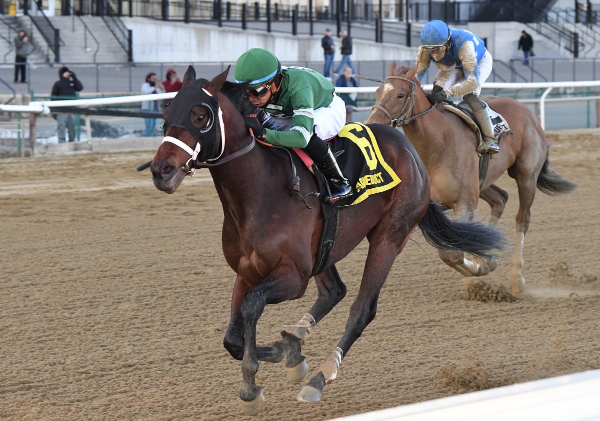 Captain Cook Top Contender For Peter Pan - Paulick Report | Latest news ...