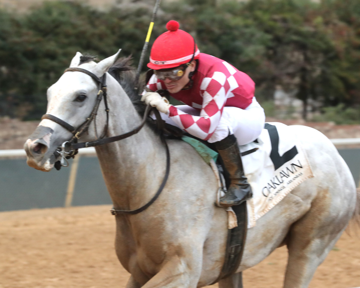 The Derby Bubble Presented By Kentucky-Breds: How Much Stock Do We Put ...