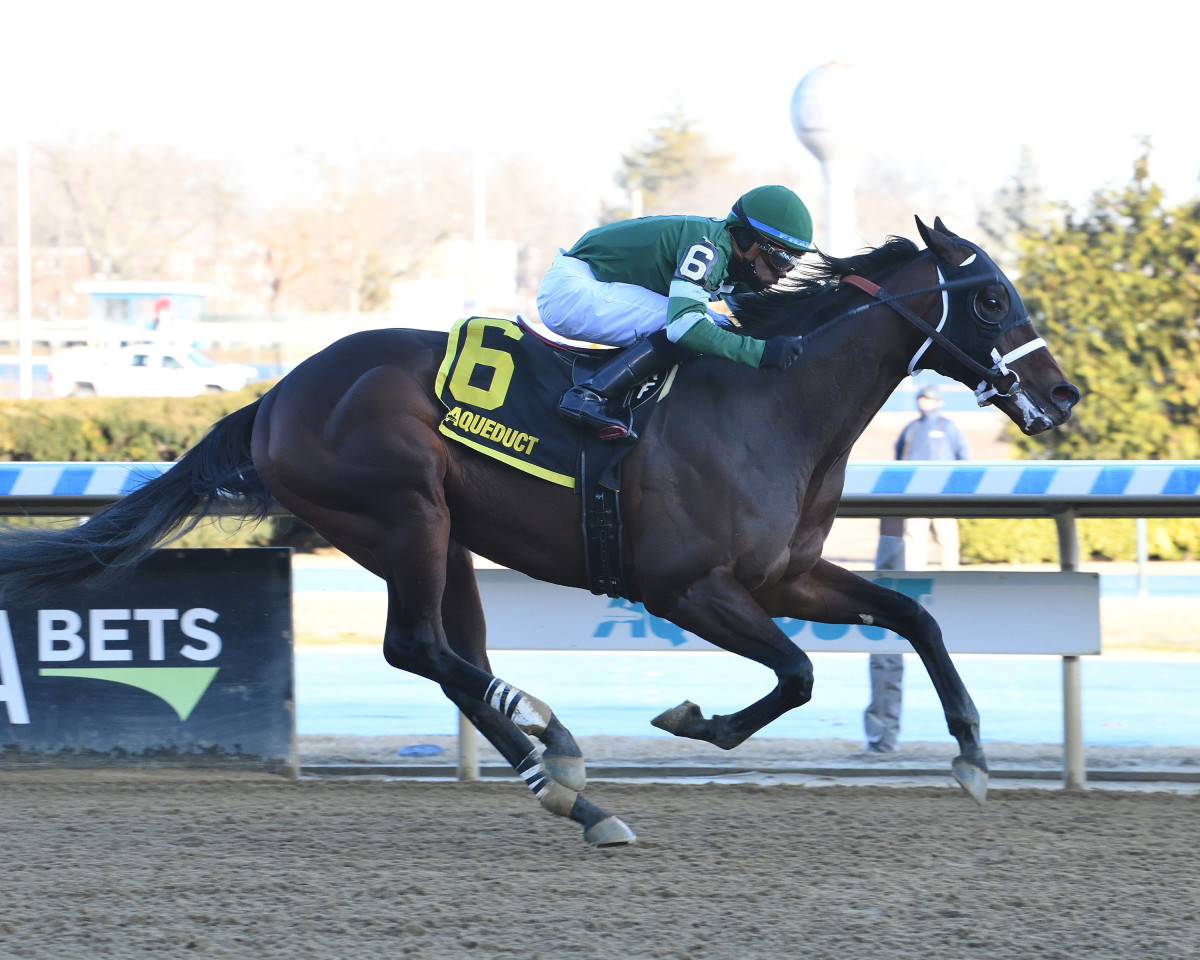 Withers Winner Captain Cook Leads Dozen Entered For Wood Memorial ...