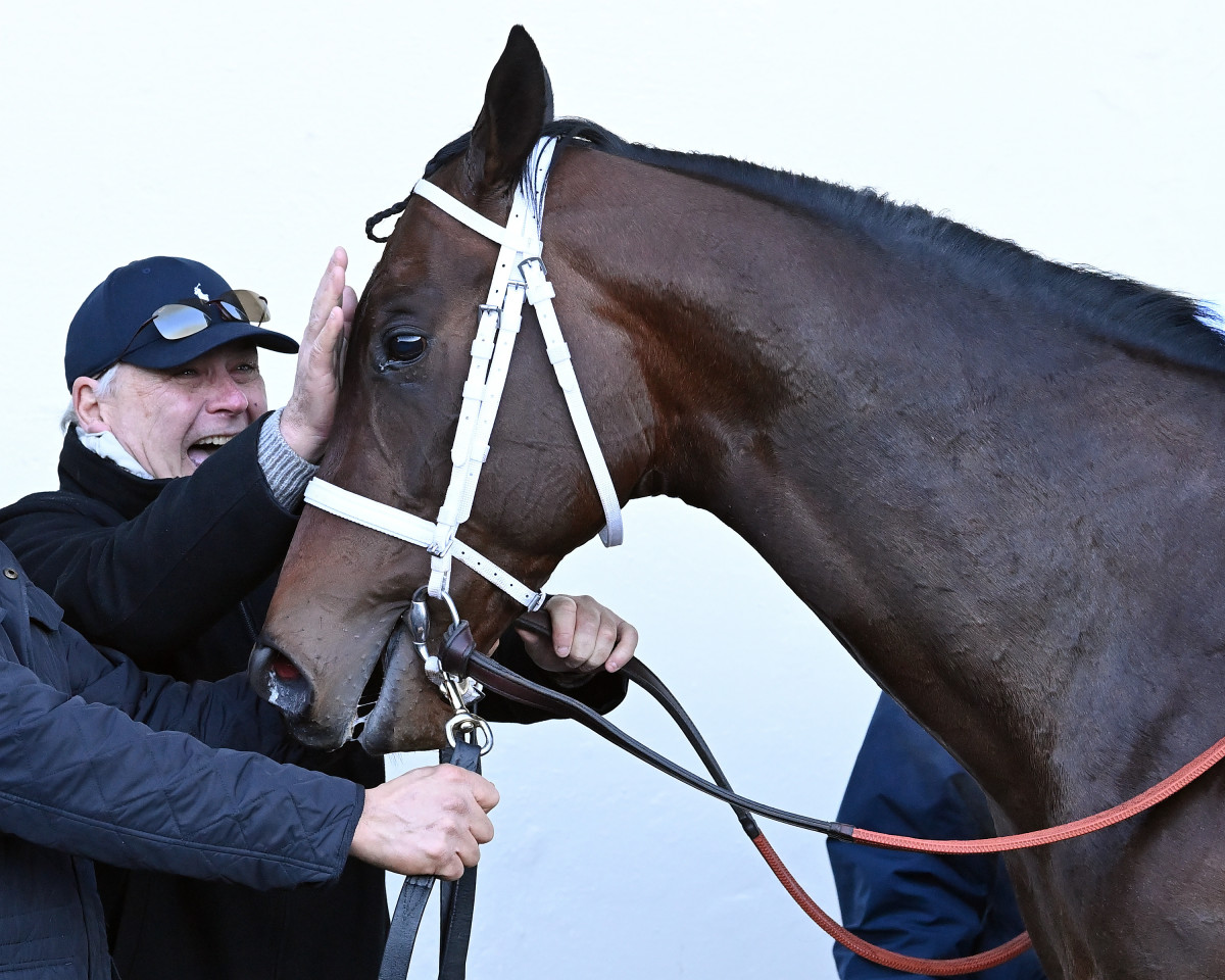 Weekend Lineup Presented By Pimlico Race Course: Decisions, Decisions ...