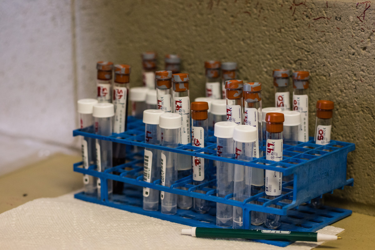 Kentucky Lab Granted Probationary HISA Accreditation - Paulick Report ...