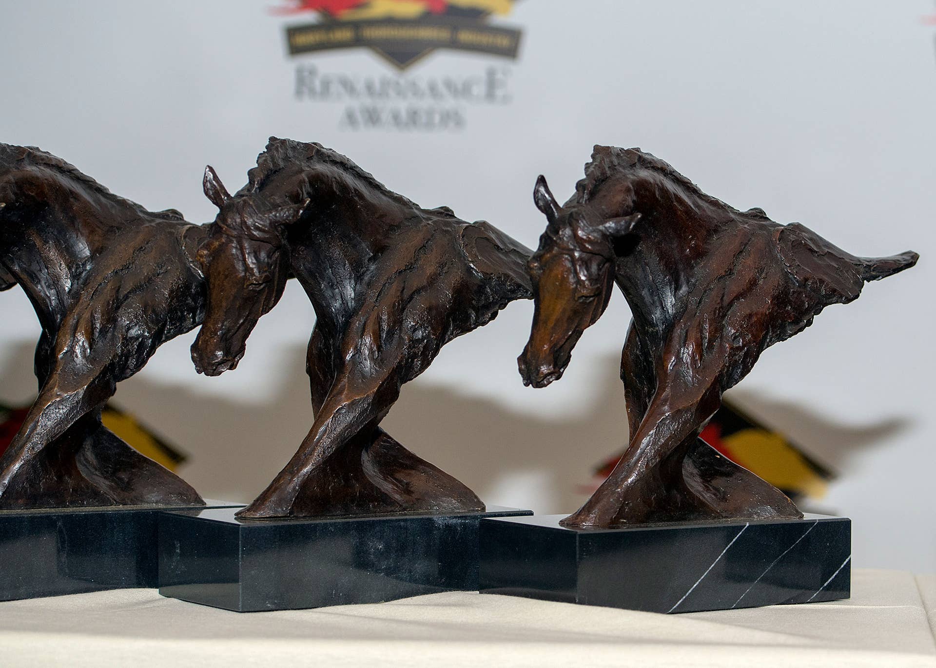 Maryland THA Announces 2024 Awards Finalists - Paulick Report | Latest ...