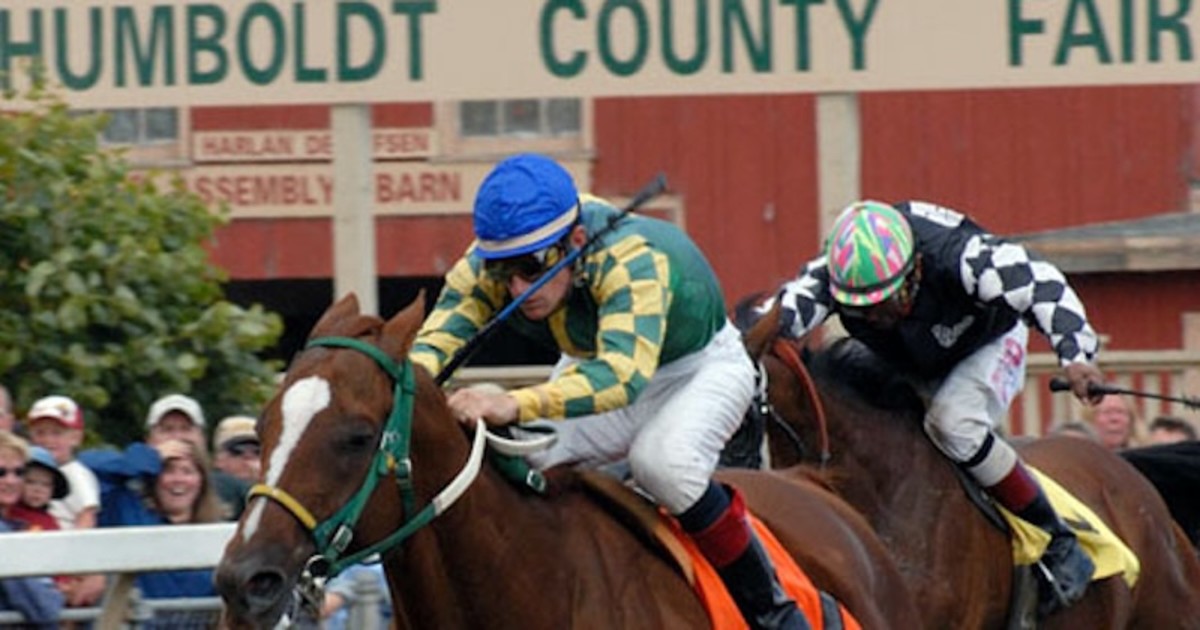 'Are There Horses?' Northern California Fairs Face Key Question About ...