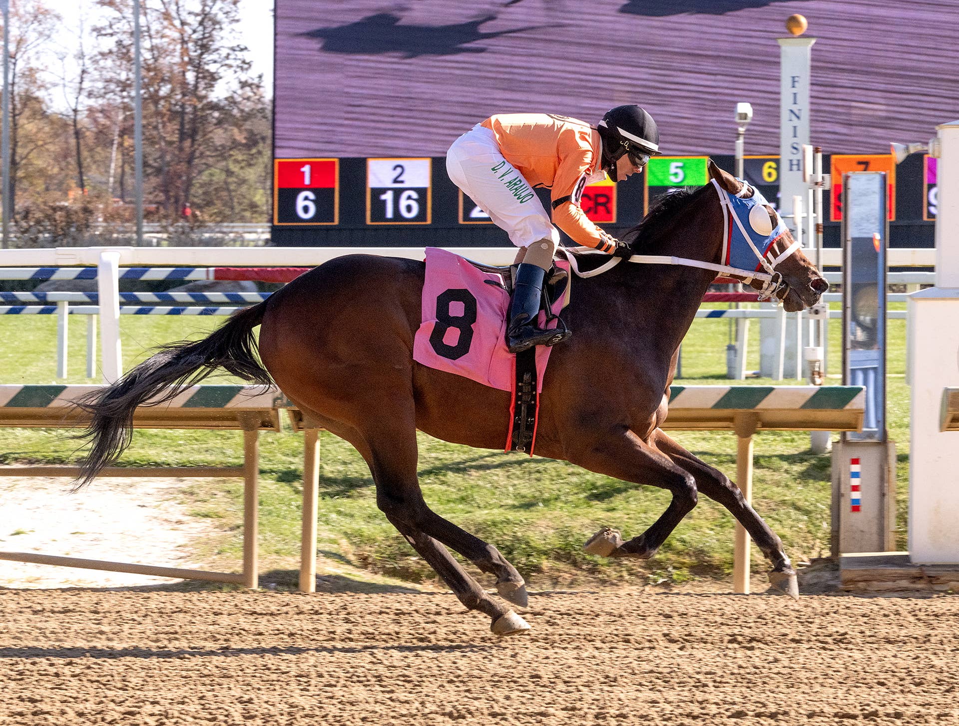 Red-Hot Suga Steve Tops Inglis Digital USA February Sale - Paulick ...