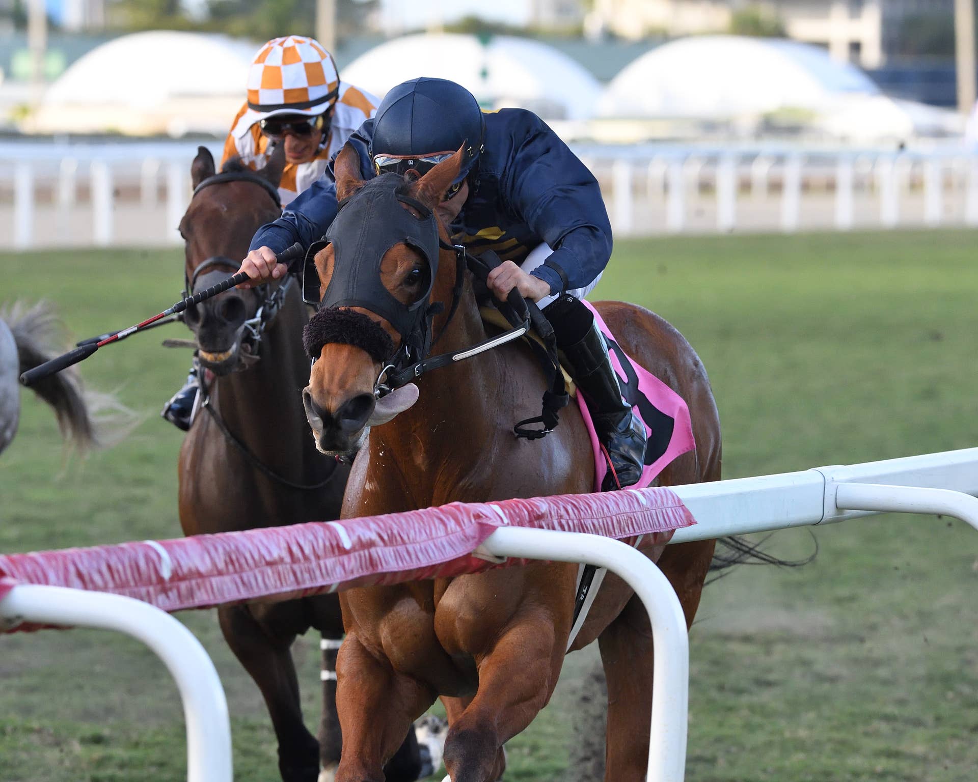Epona’s Hope Leads All The Way In Gulfstream Park's Ladies’ Turf Sprint ...
