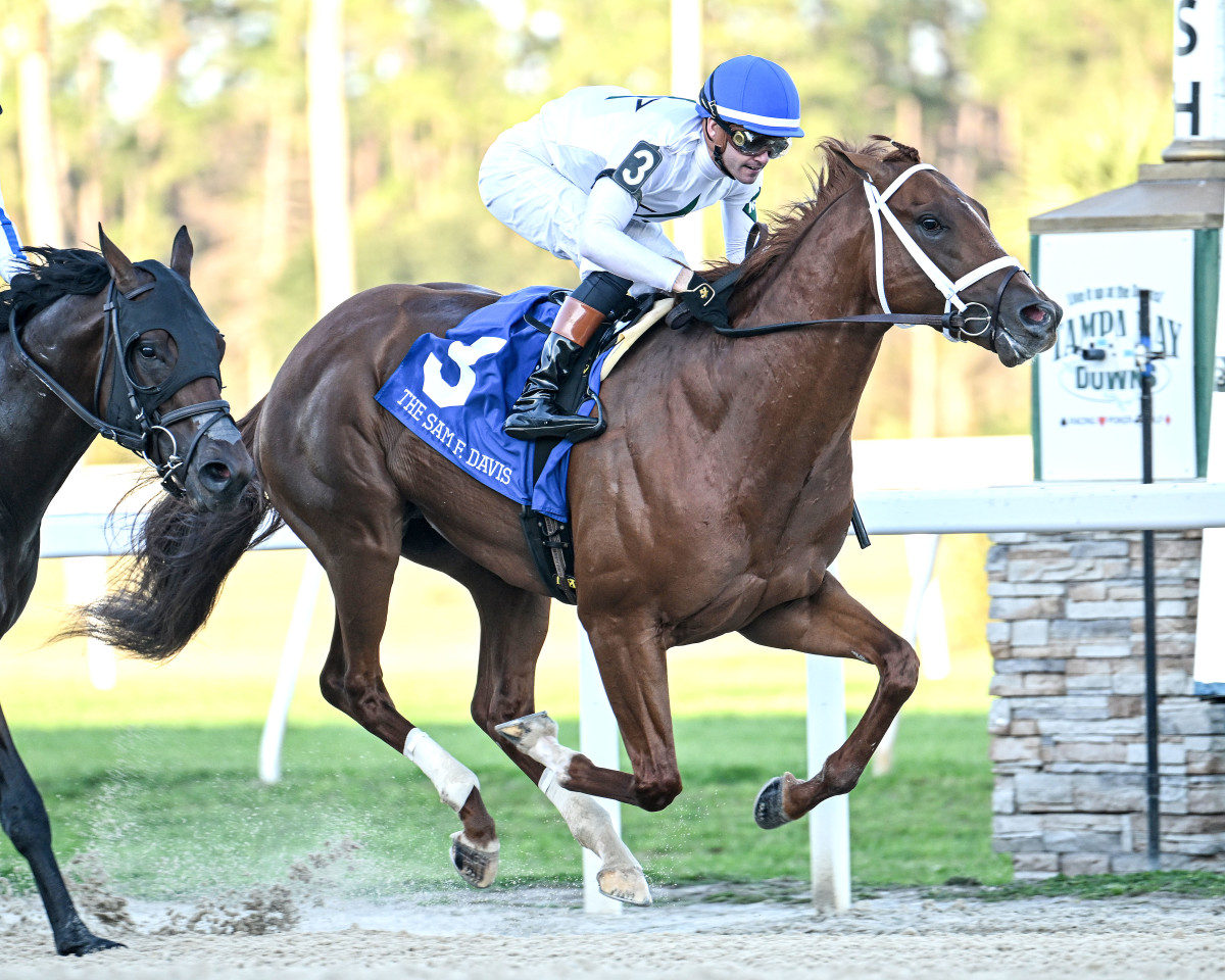 Getaway Car Tabbed Morning-Line Favorite In Virginia Derby - Paulick ...
