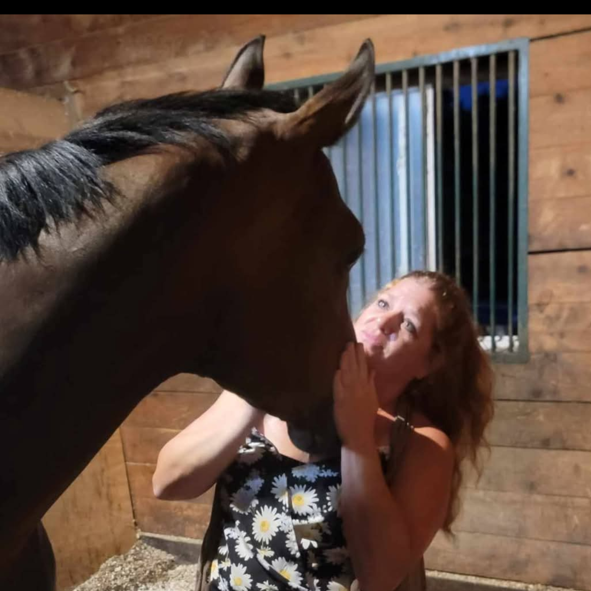 'There Is Nothing This Boy Won't Do For Me': First OTTB A Game Changer ...