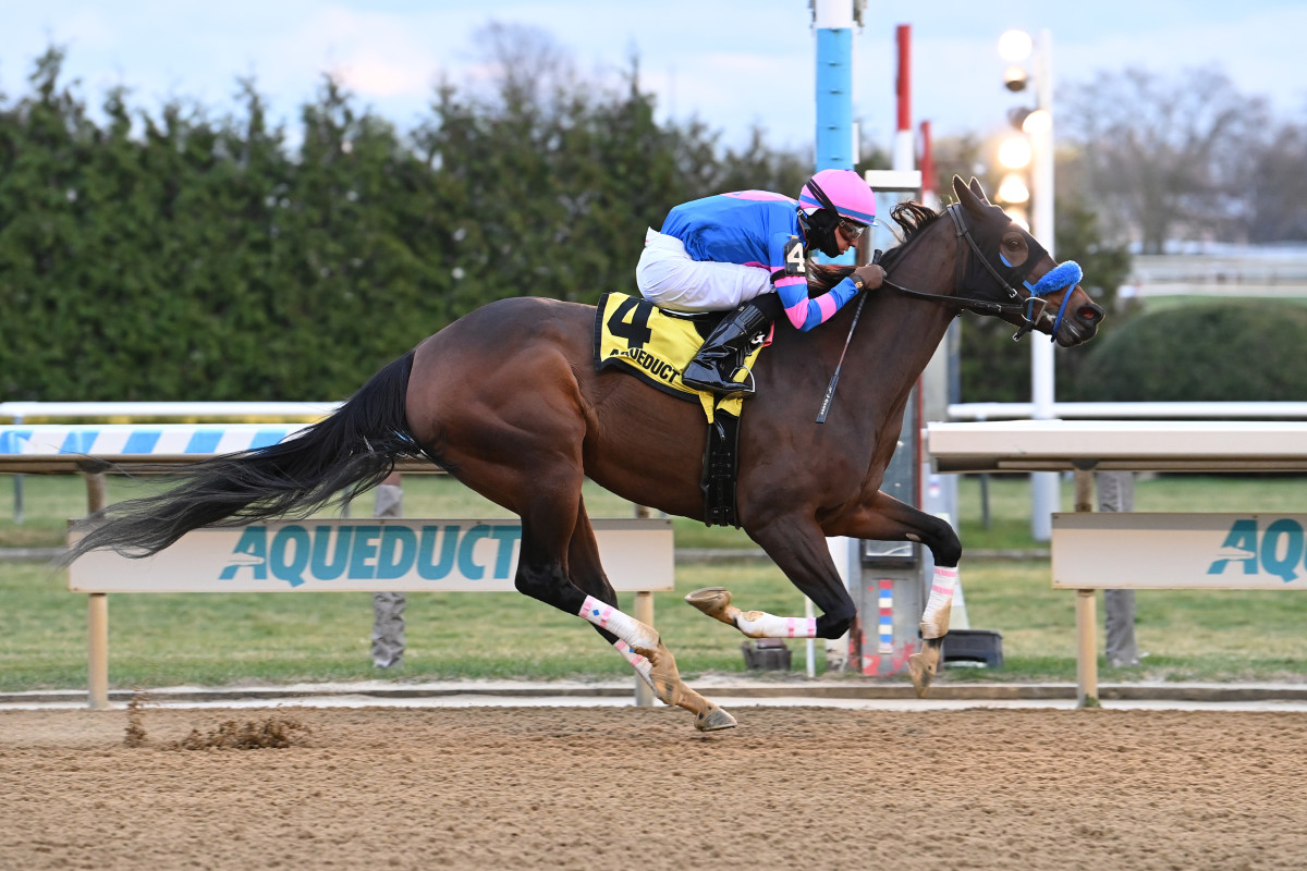 Patricia Ann Set For Stakes Bow In Aqueduct's Heavenly Prize ...
