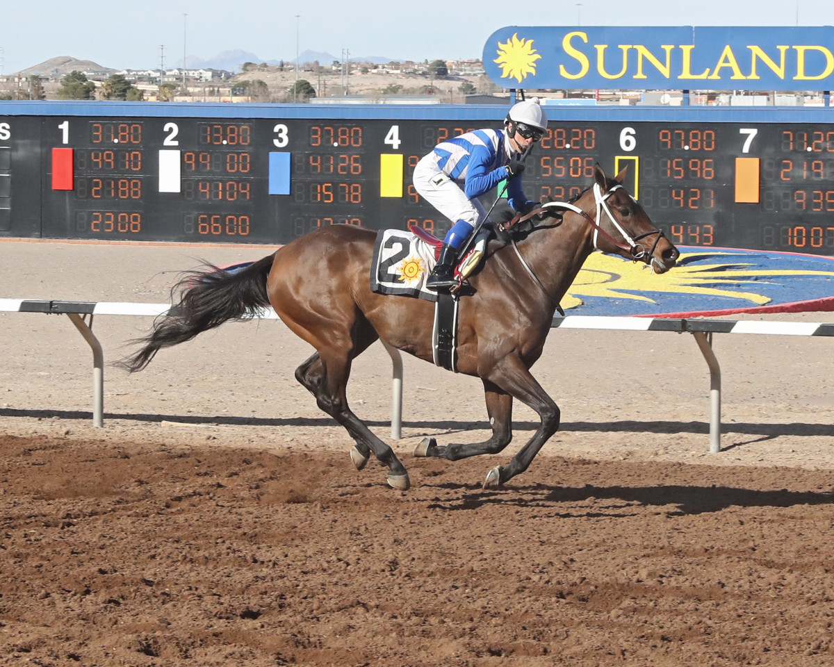Stakes Winner Runnin N Gunnin Kicks Off Second-Half Campaign In ...