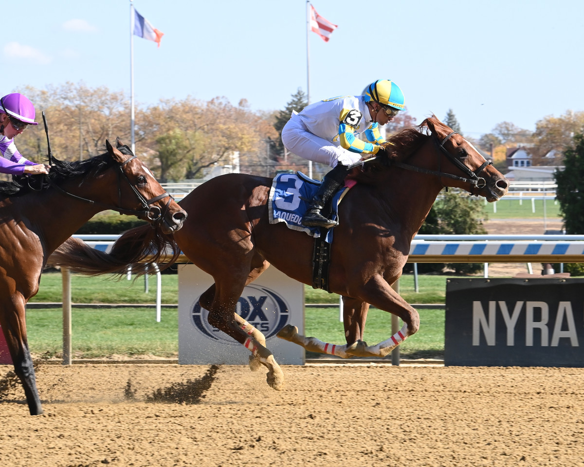 My Mitole Could Step Onto Kentucky Derby Trail Following Aqueduct Score - Paulick Report ...