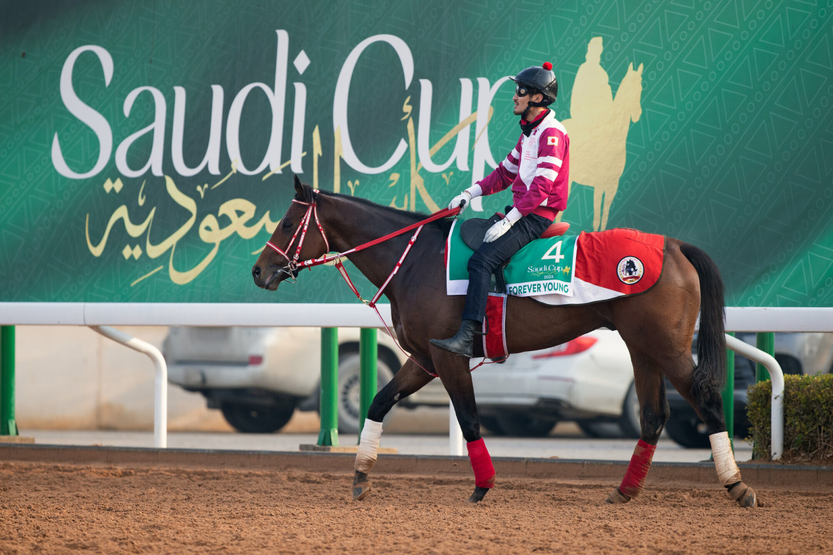 Weekend Lineup: Saudi Cup Has International Flavor - Paulick Report ...