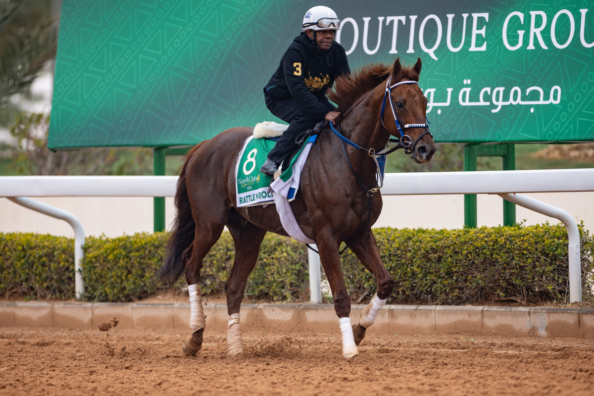Rattle N Roll Joins Cast For Dubai World Cup - Paulick Report | Latest ...