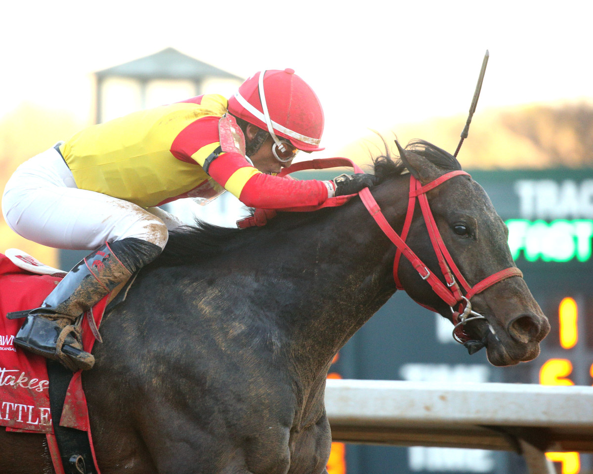 Kentucky Derby Pedigree Corner Presented By Zycosan: Publisher ...