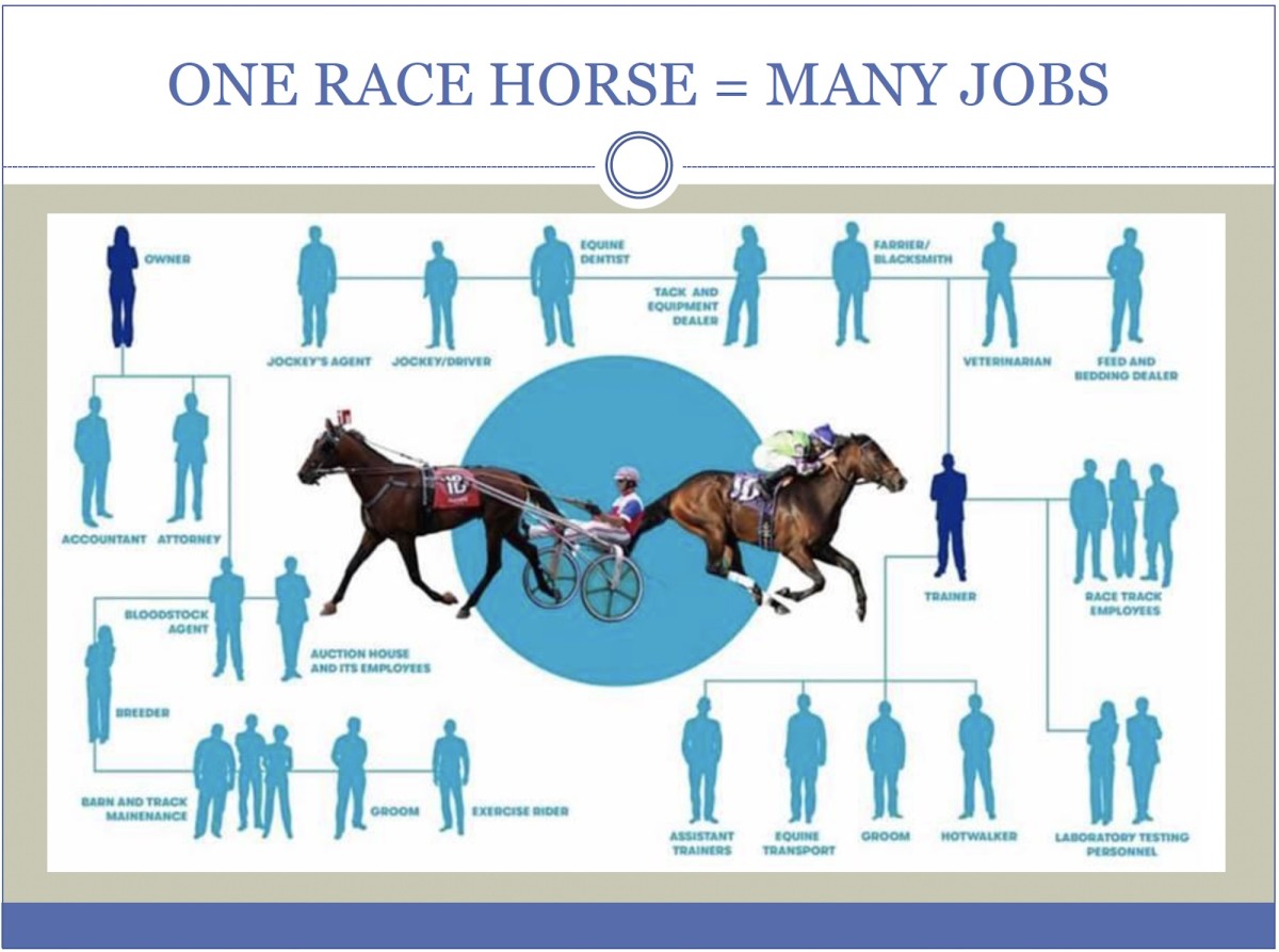 View From The Eighth Pole: Justifying Our Existence - Paulick Report ...