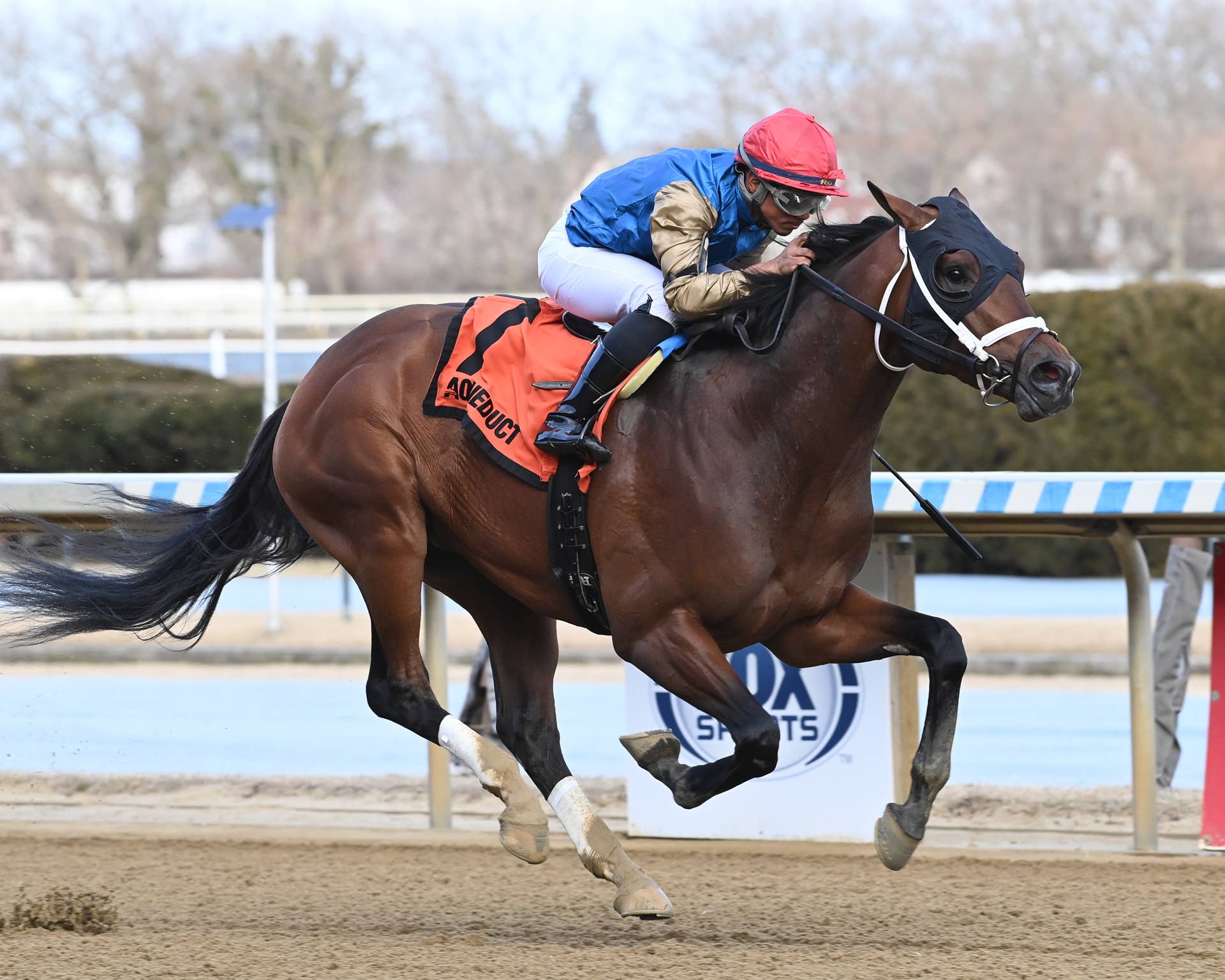 'How Fun Was That?' Flood Zone Upsets Gotham At 17-1 Odds - Paulick ...