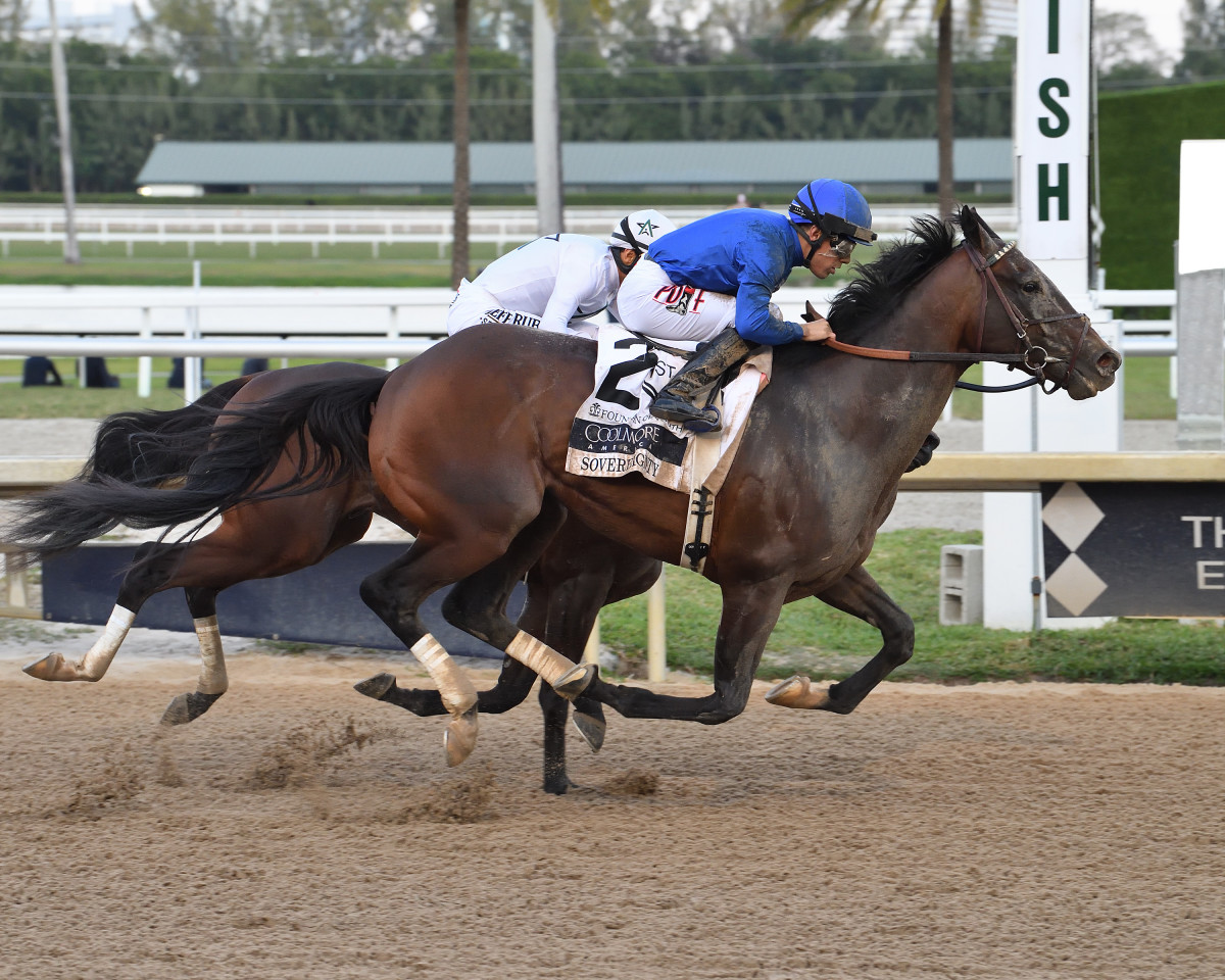 Kentucky Derby Pedigree Corner Presented By Zycosan: Sandman ...