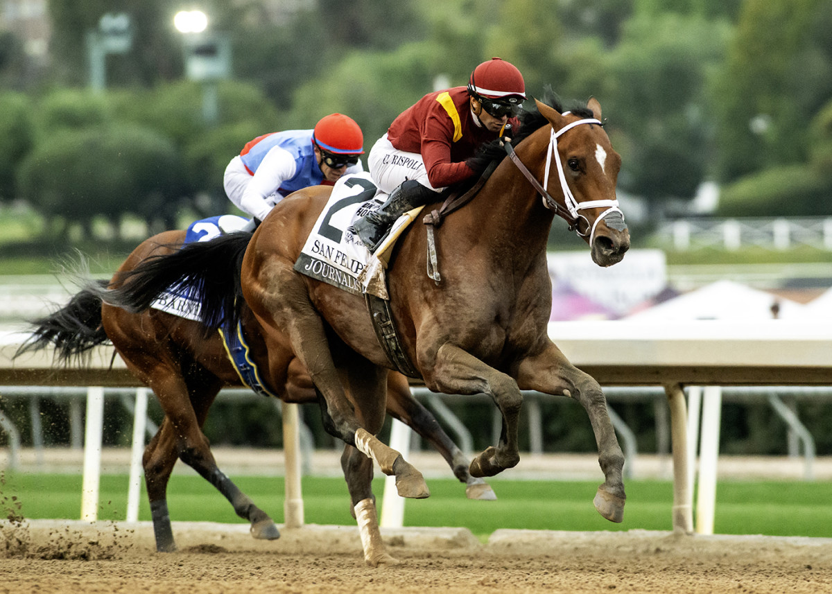 Kentucky Derby Pedigree Corner Presented By Zycosan: American Promise ...