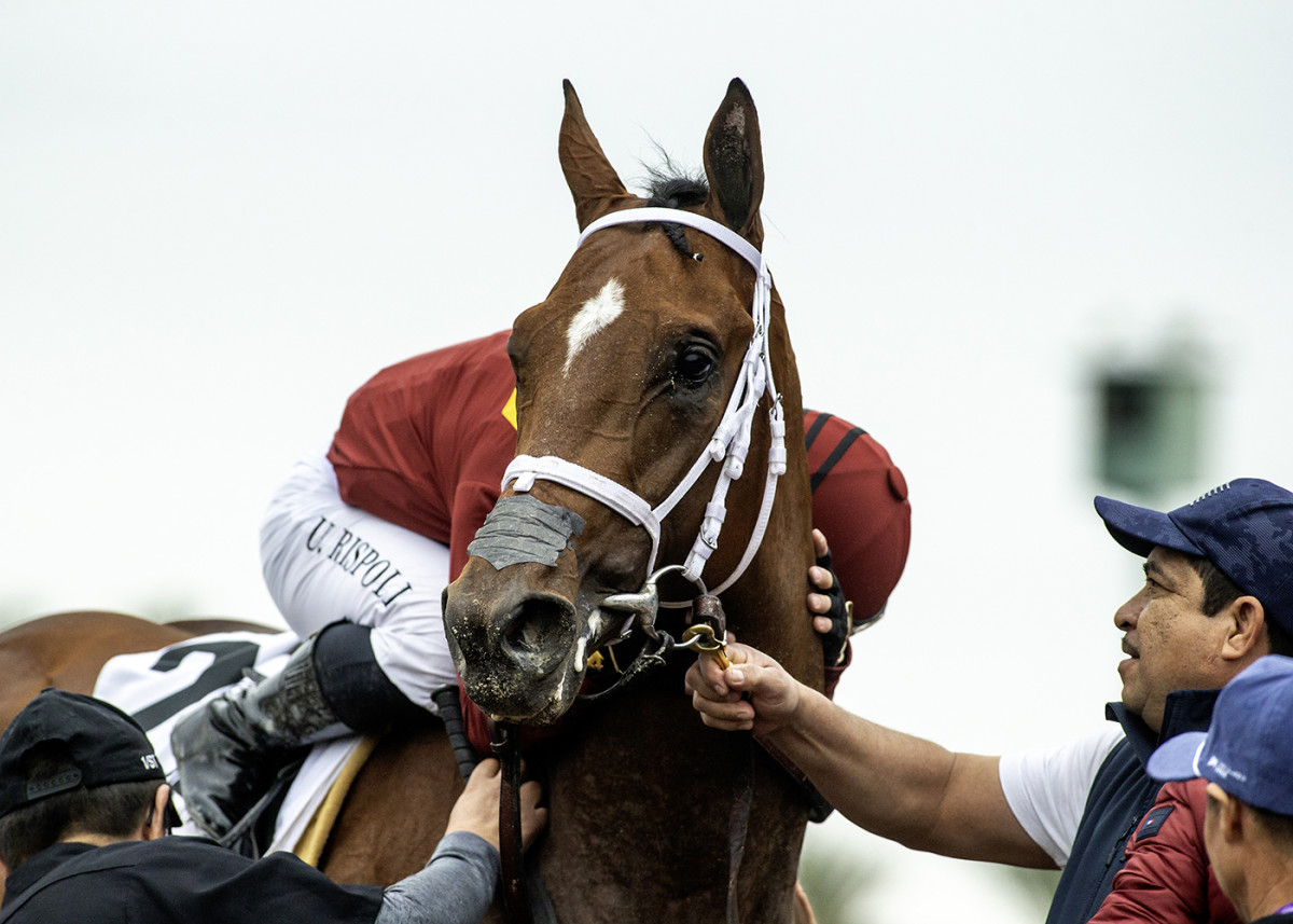 Journalism, Citizen Bull Meet For First Time In Five-Horse Santa Anita ...