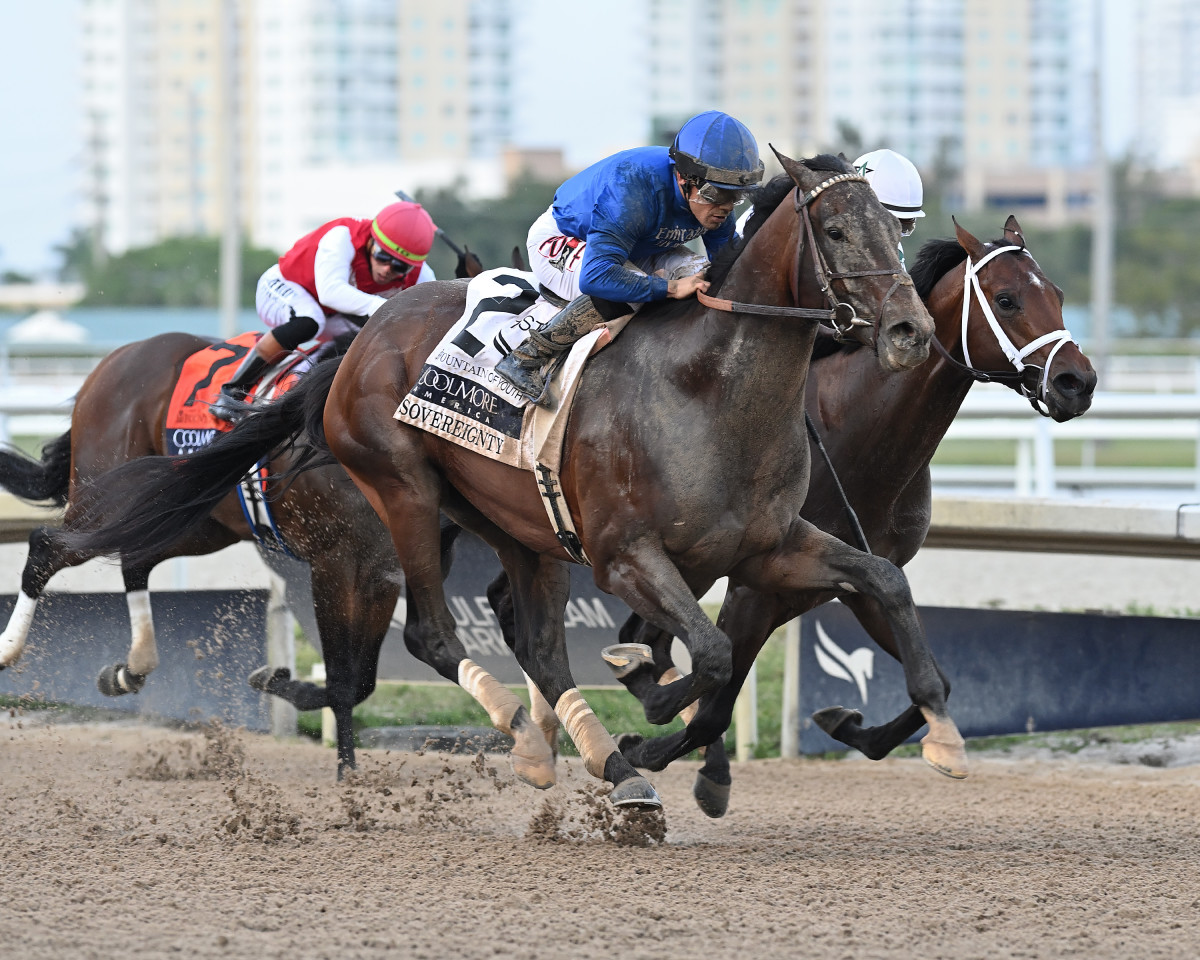 Gulfstream Park: Multi-Race Pool Estimates Up To $2 Million On Florida ...