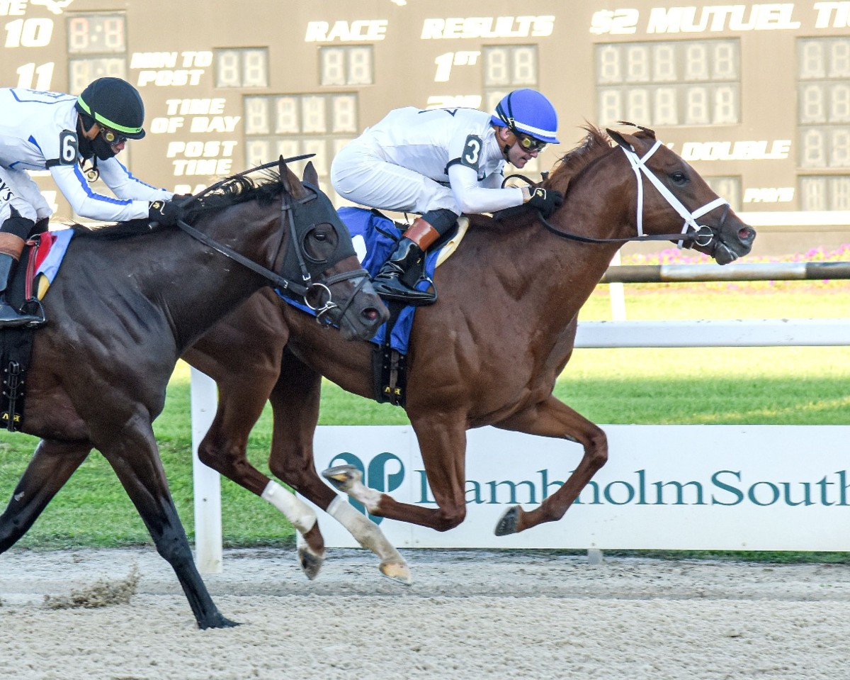 John Hancock Tabbed Morning-Line Favorite For Louisiana Derby - Paulick ...