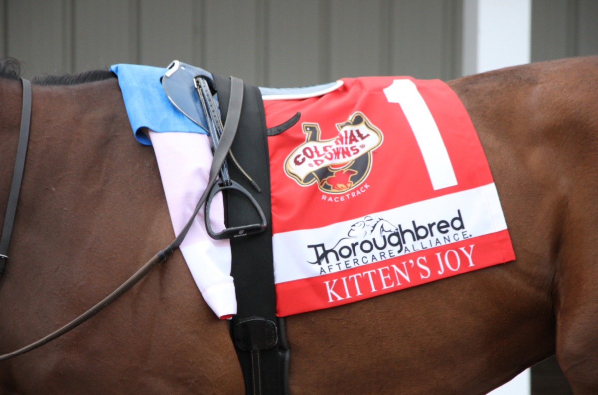 Thoroughbred Aftercare Alliance To Have Presence On Virginia Derby Day ...