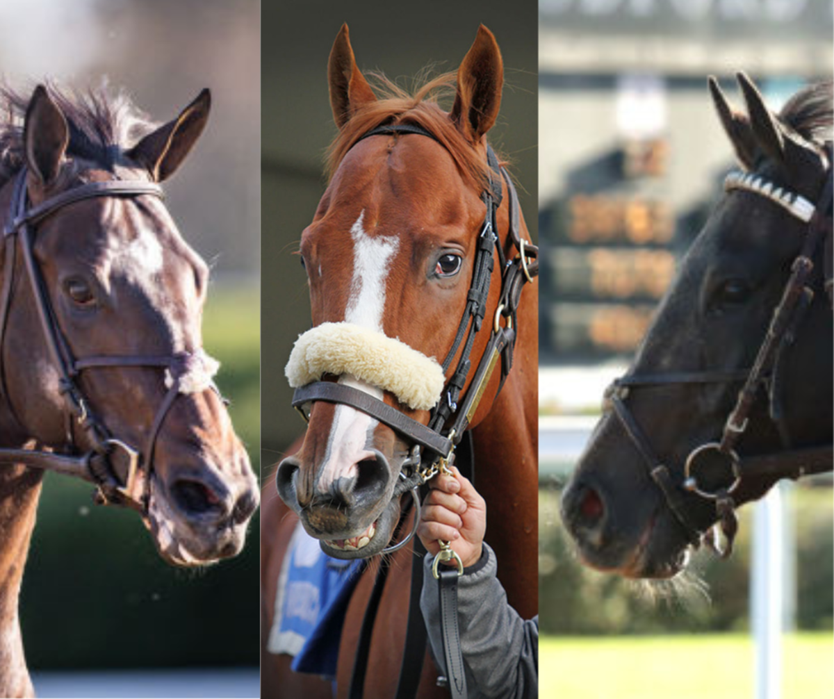 Godolphin Shares Race Plans For Three Kentucky Derby Hopefuls - Paulick ...