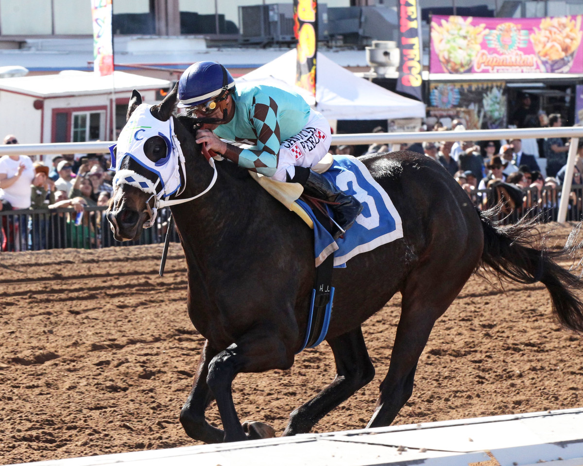 Corrina Corrina Has Her New Mexico Owner-Breeder Singing A Happy Song ...