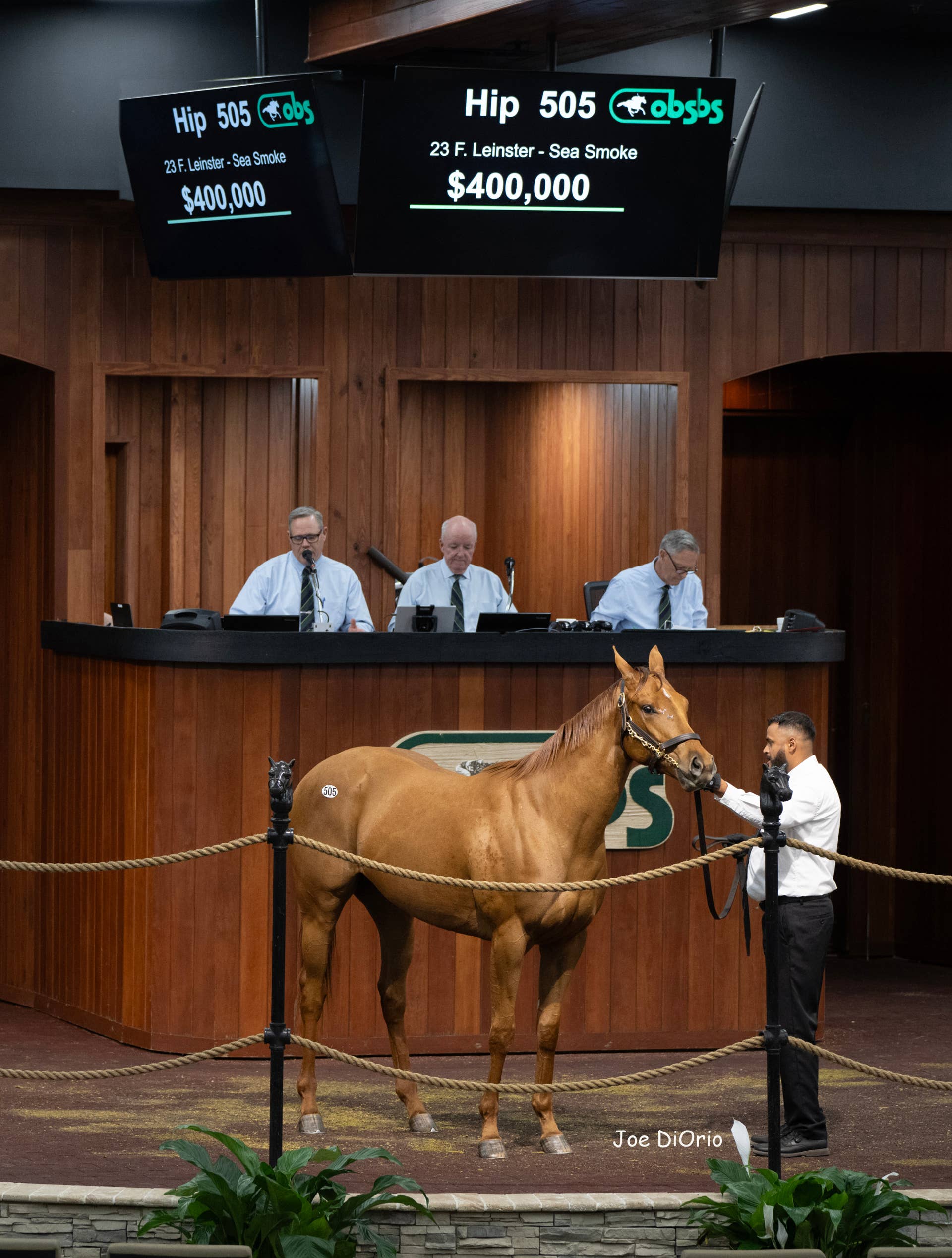Florida Stallions Produced Large Returns On Investments At OBS March ...