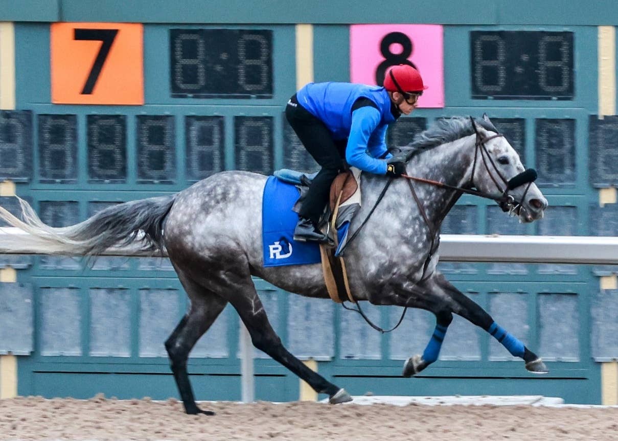 Euro Stakes Winner Starry Heavens Makes U.S. Debut Over Santa Anita ...