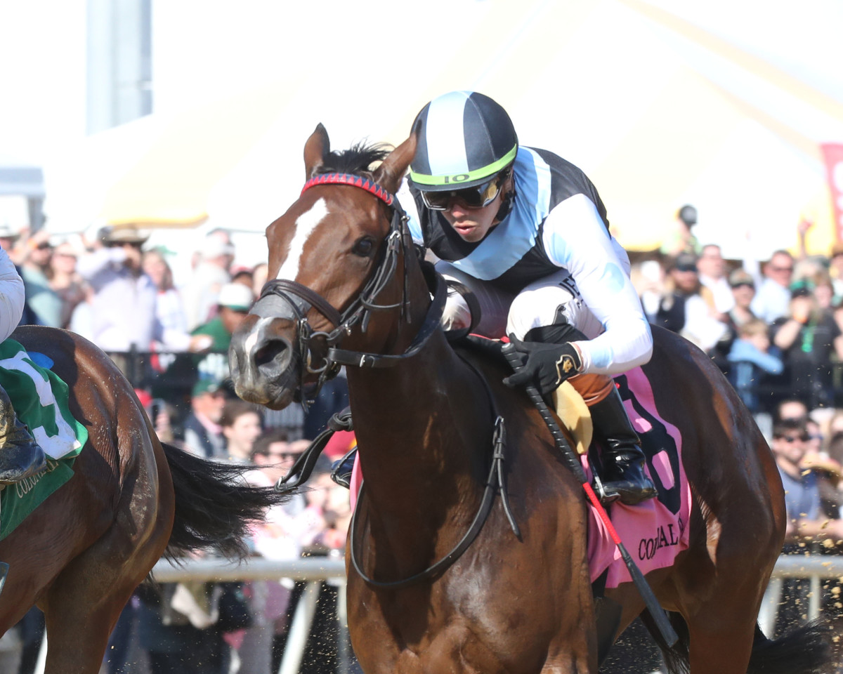 'My Filly Stepped Up': Fondly Goes From Debut Winner To Virginia Oaks ...