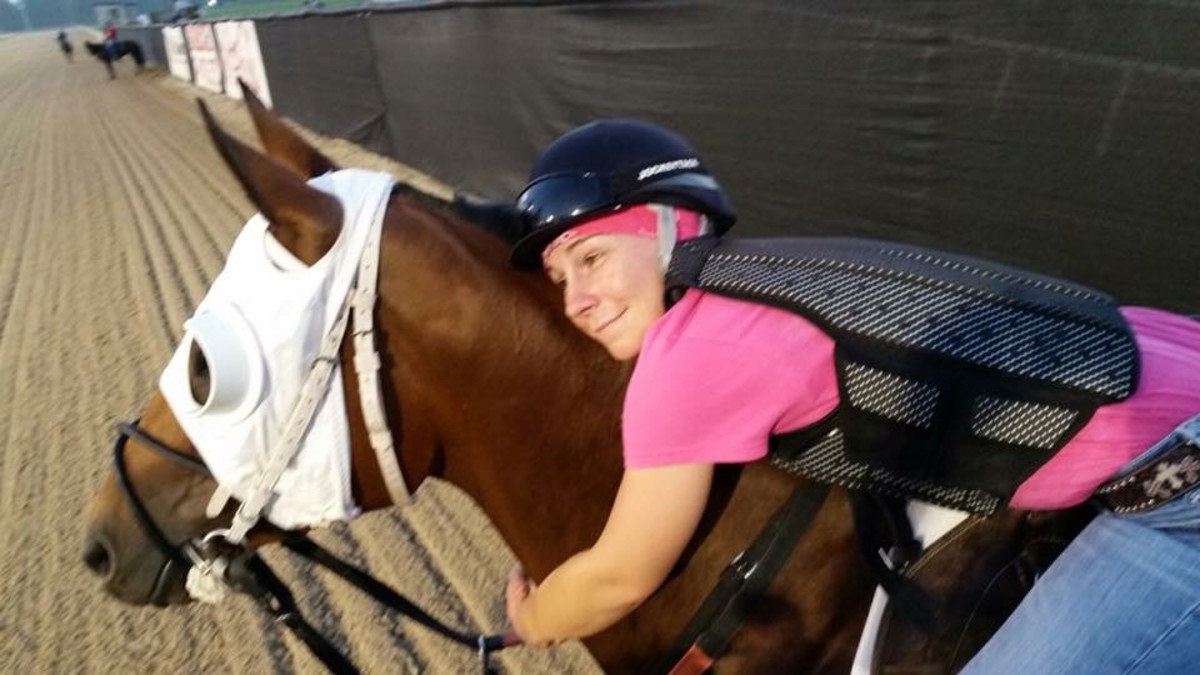 Kirkpatrick & Co. Presents In Their Care: 'The Horses Are What I'm In It For' - Paulick Report ...