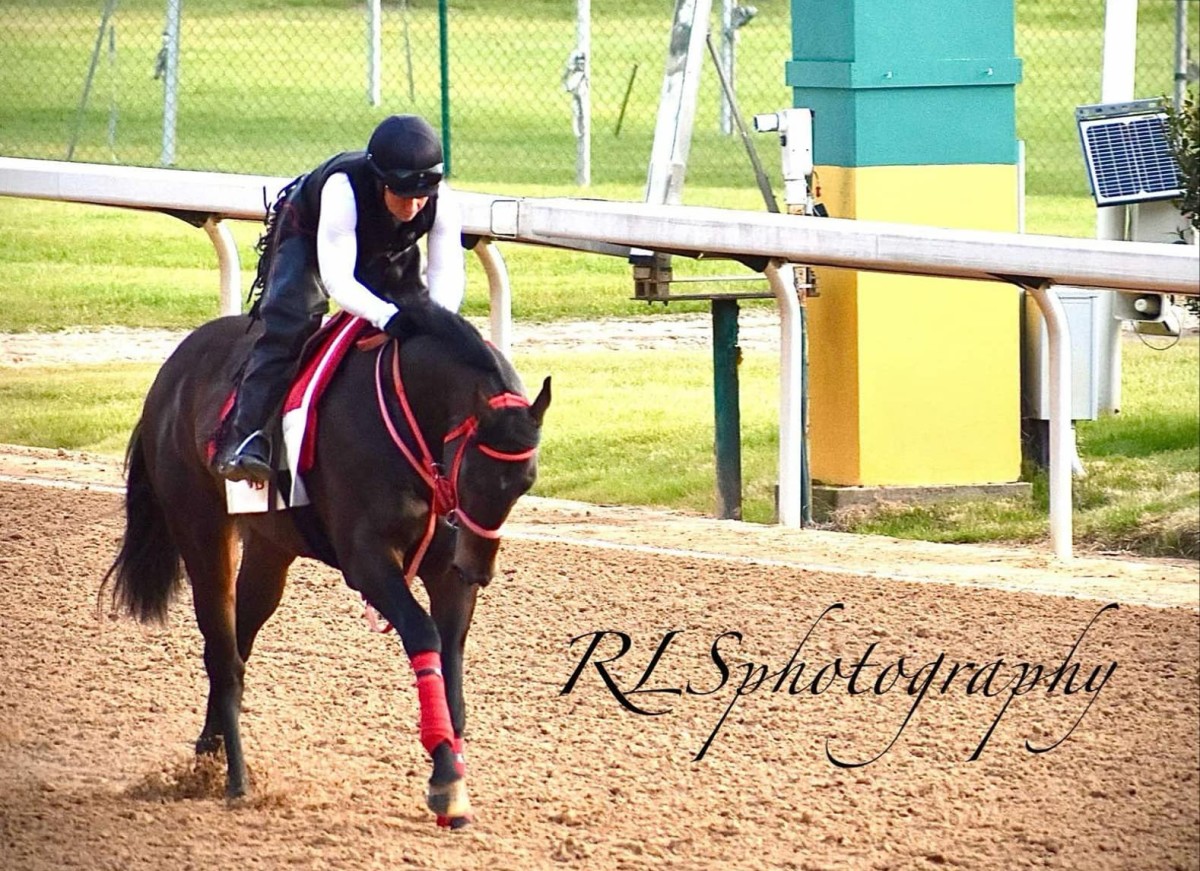 Kirkpatrick & Co. Presents In Their Care: 'The Horses Are What I'm In It For' - Paulick Report ...