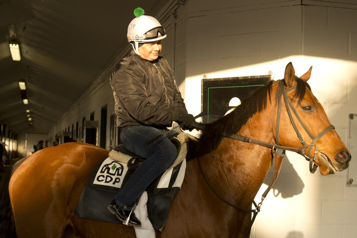 Rapid Test, Rider Danny Hernandez 'Had A Connection Right From The ...