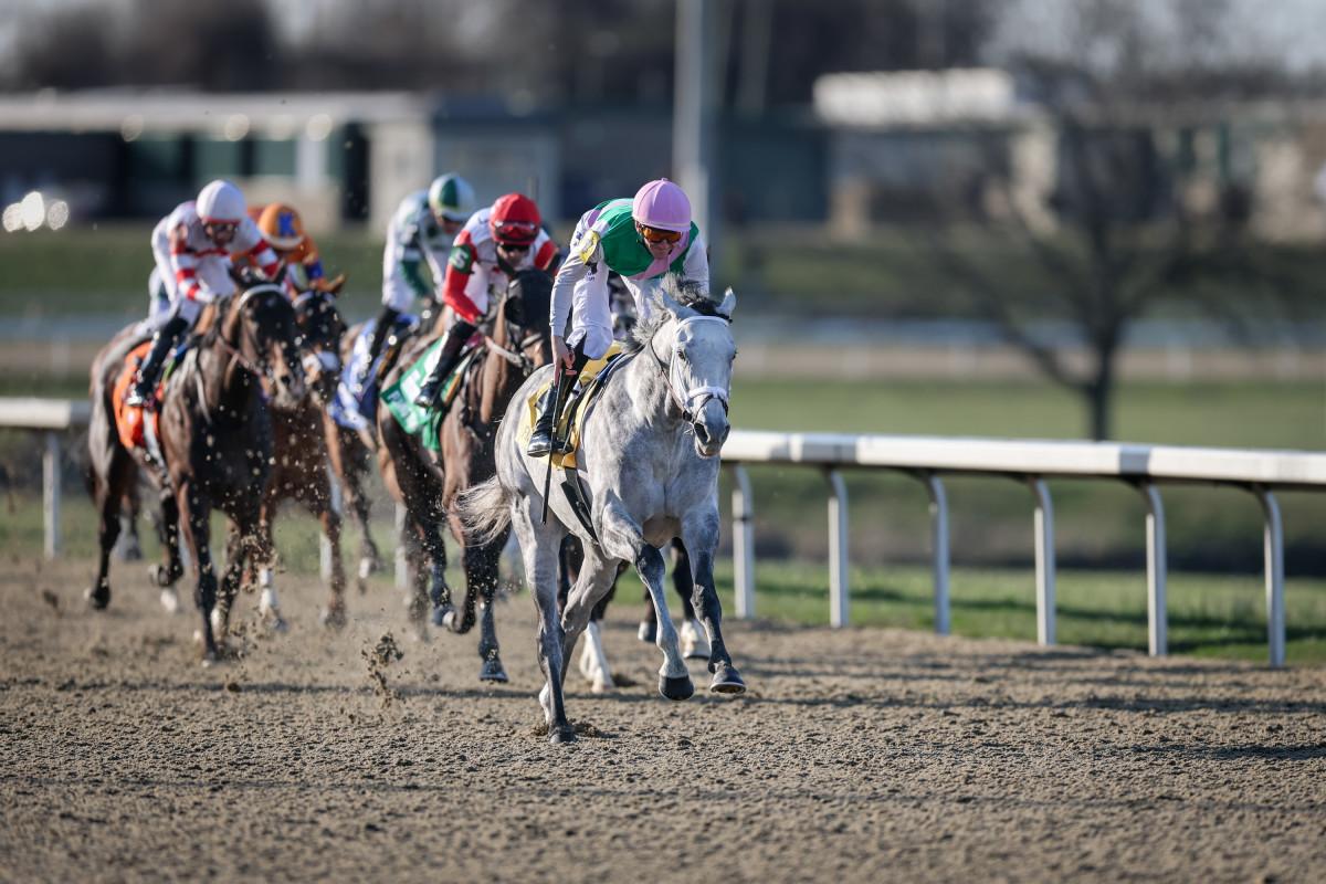 Final Gambit Faces Familiar Kentucky Derby Rivals In Matt Winn ...